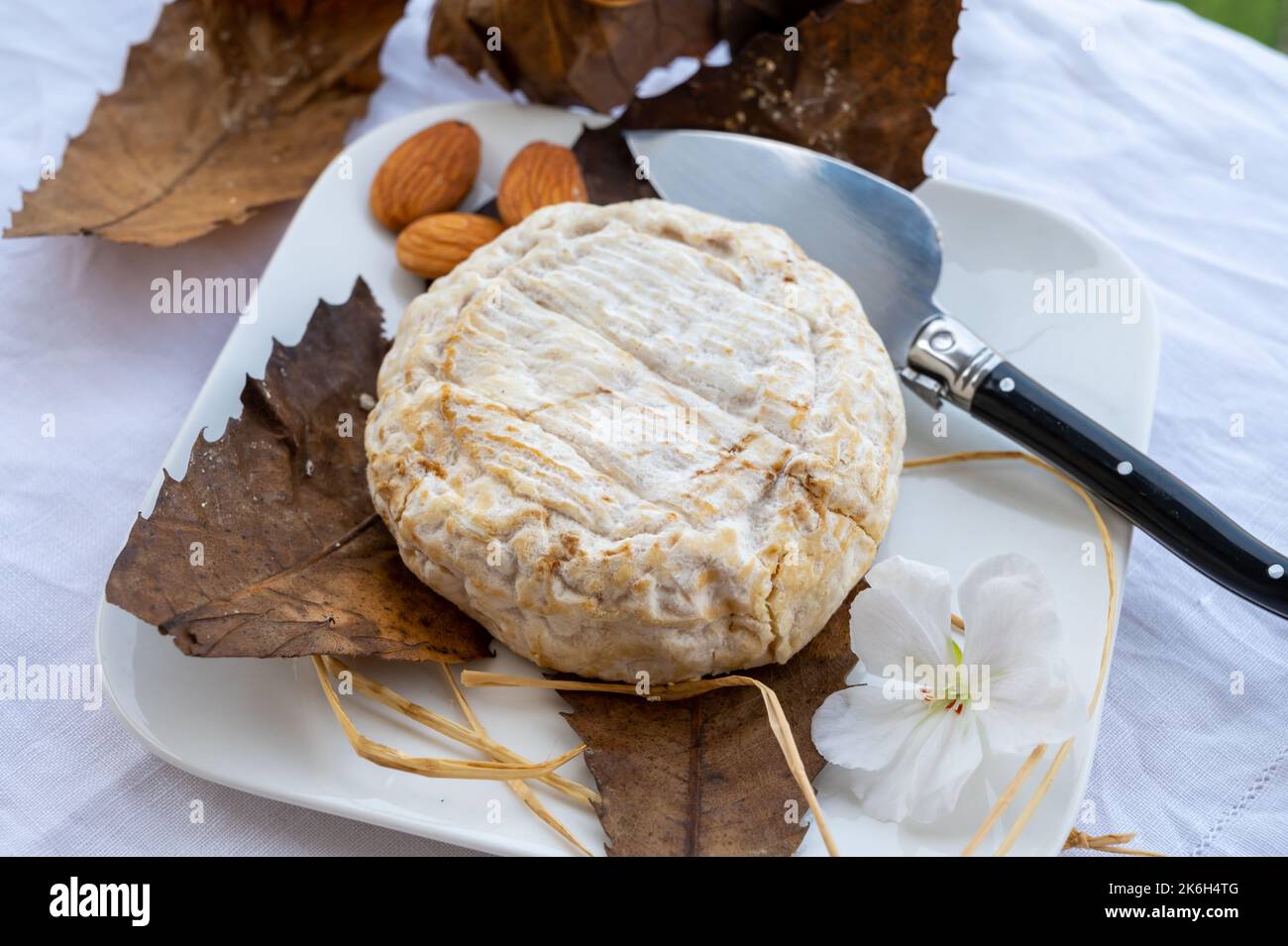 Unpasteurised dairy farm hi-res stock photography and images - Alamy
