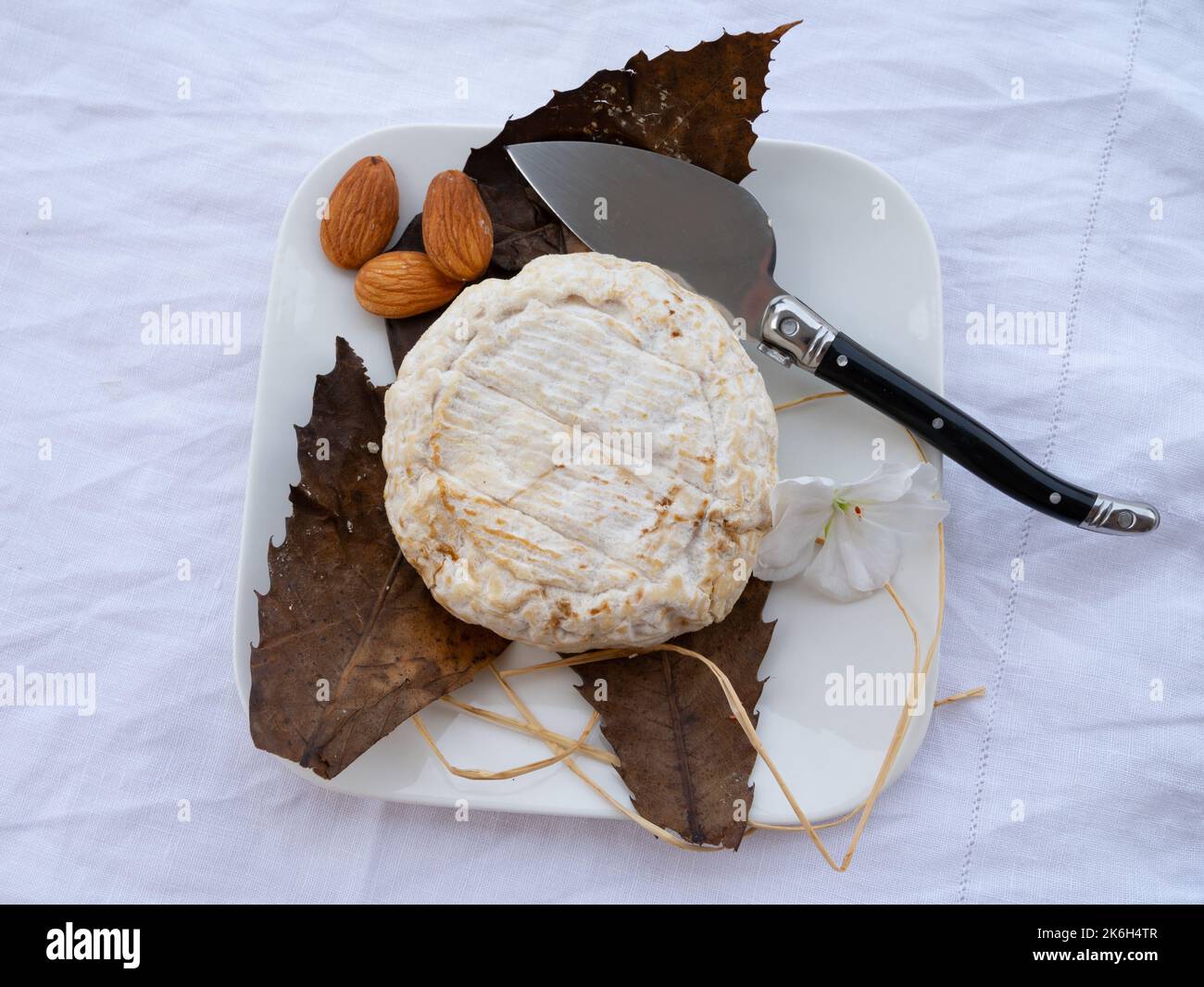 French mountains cheese banon made in Alpes-de-haute-provence wrapped ...