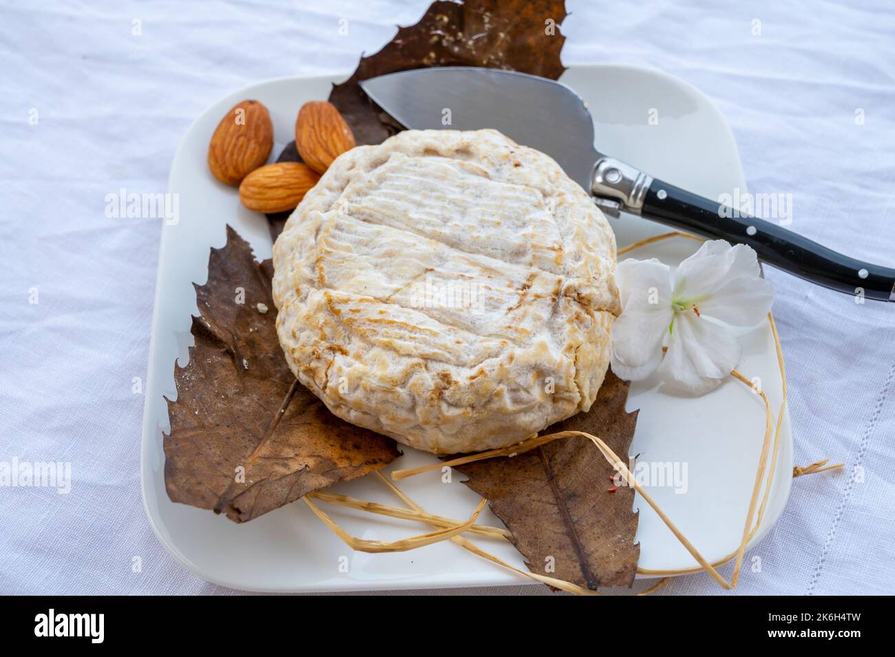 Unpasteurised dairy farm hi-res stock photography and images - Alamy