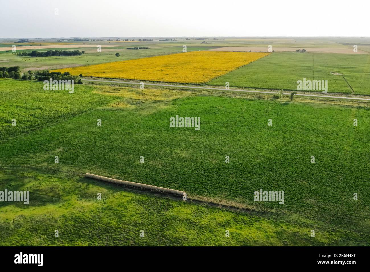 Grass bale, grass storage in La Pampa countryside, Patagonia,Argentina ...