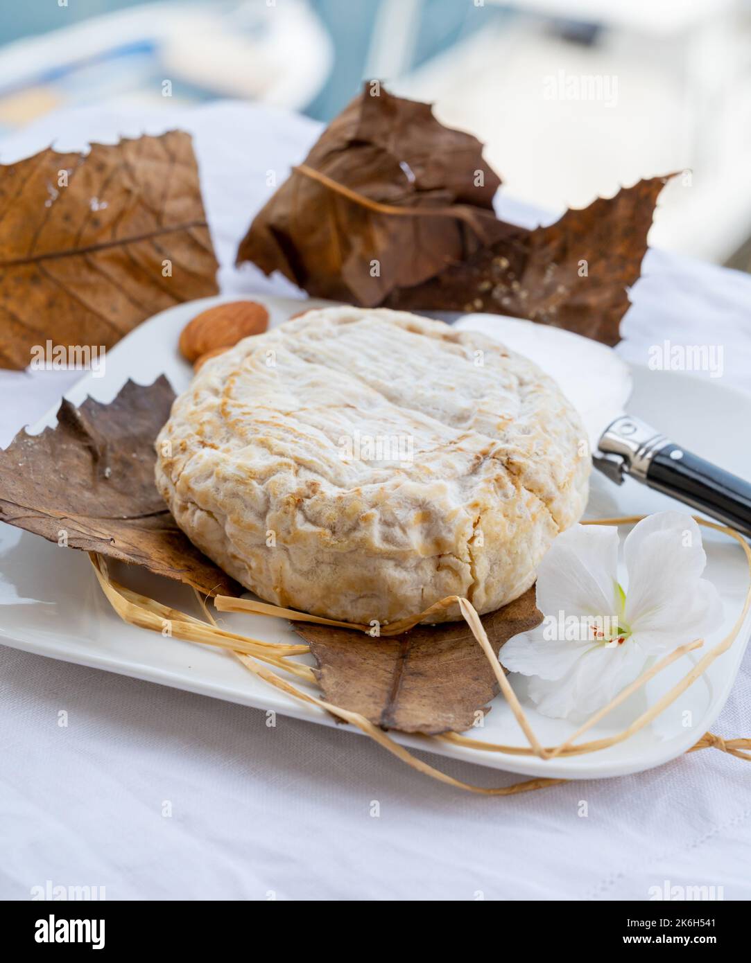 French mountains cheese banon made in Alpes-de-haute-provence wrapped ...