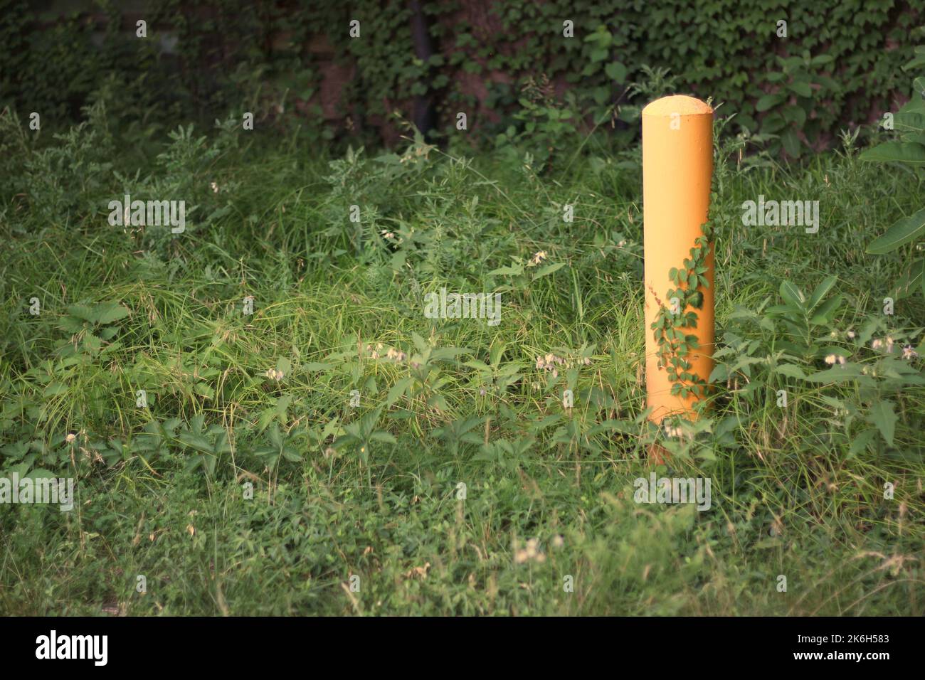 A typical common concrete bollard standing in the fields Stock Photo ...