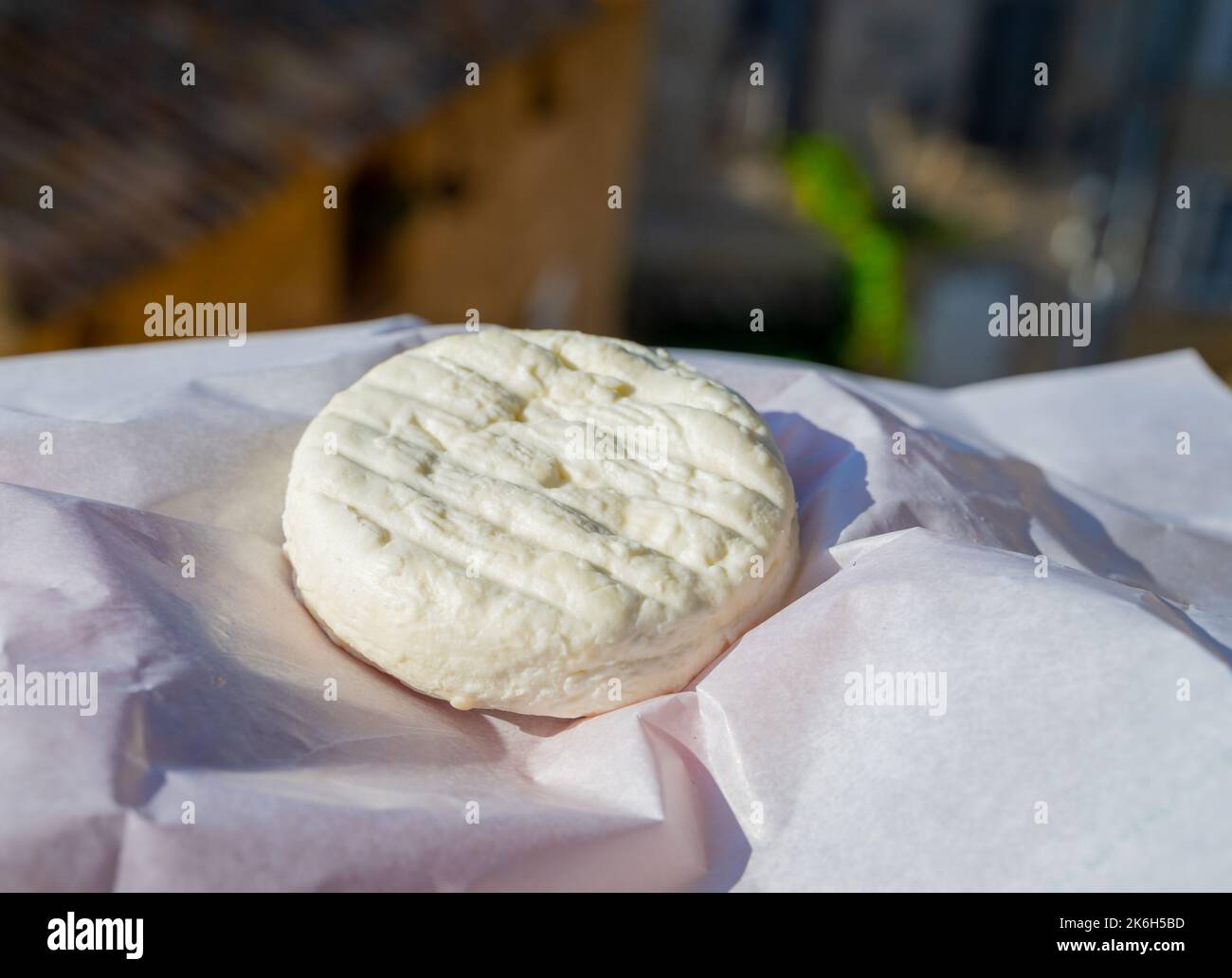 French cheeses collection, one small fresh white cheese made in ...