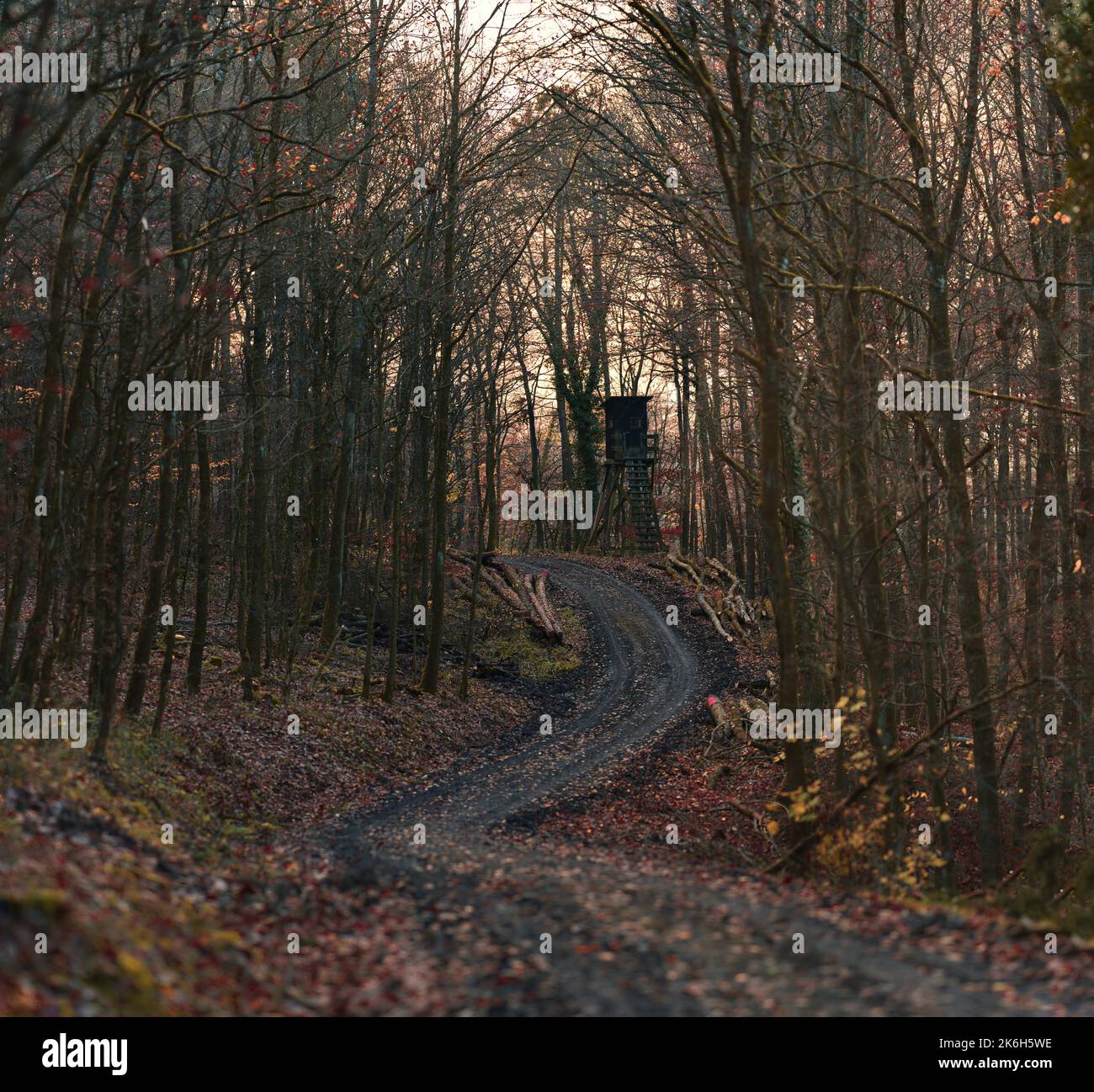 Pathway curly hi-res stock photography and images - Alamy