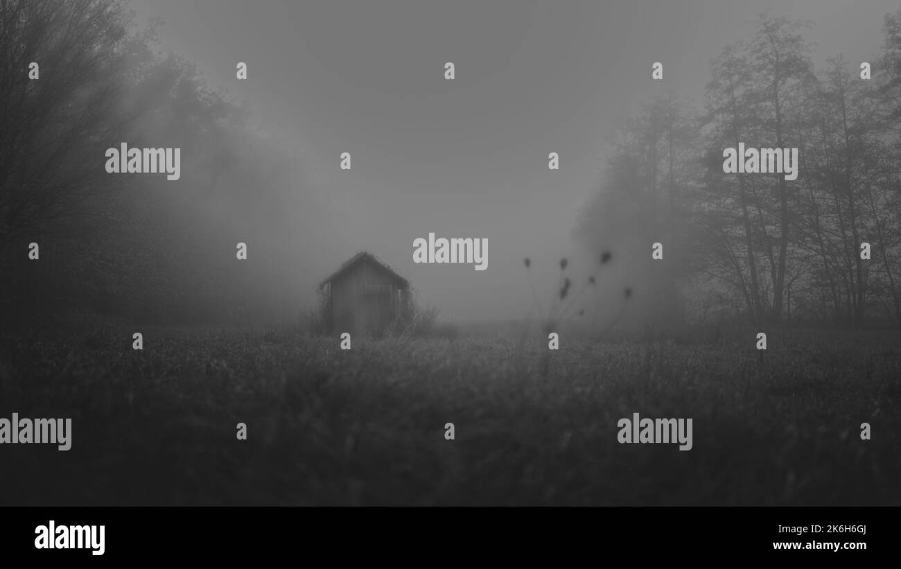 A grayscale shot of small cottage in the woods on a misty day Stock ...