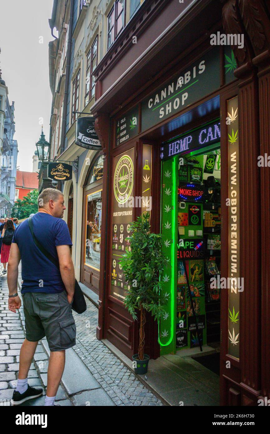 Display of hemp plants hi-res stock photography and images - Alamy