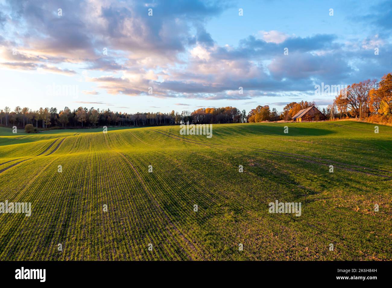 Aerial view of beautiful countryside with green rolling field in golden ...