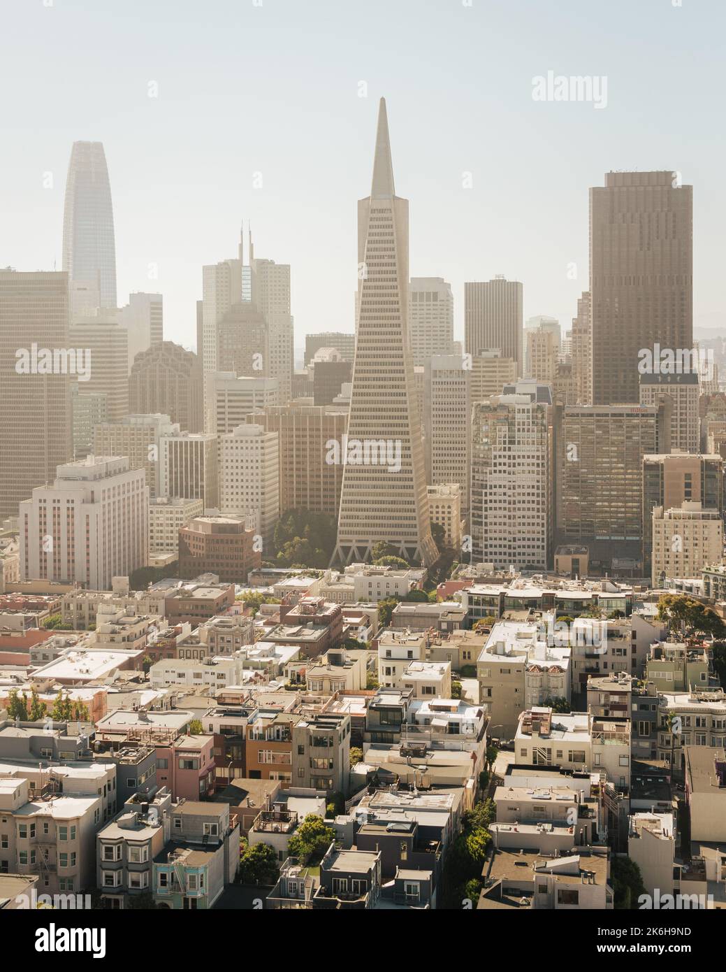View of downtown from Coit Tower, San Francisco, California Stock Photo ...