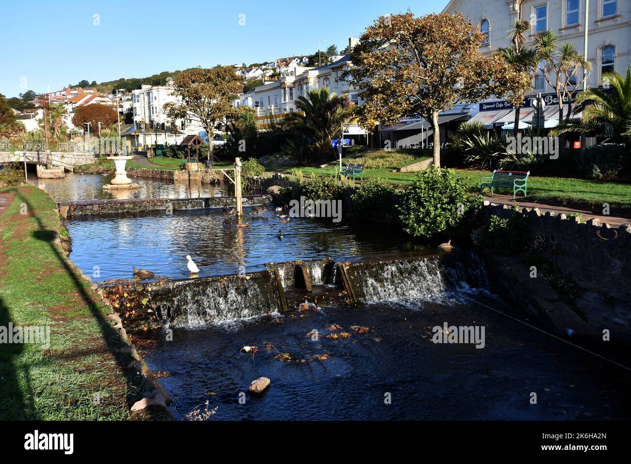Stream in Dawlish Devon UK Stock Photo - Alamy