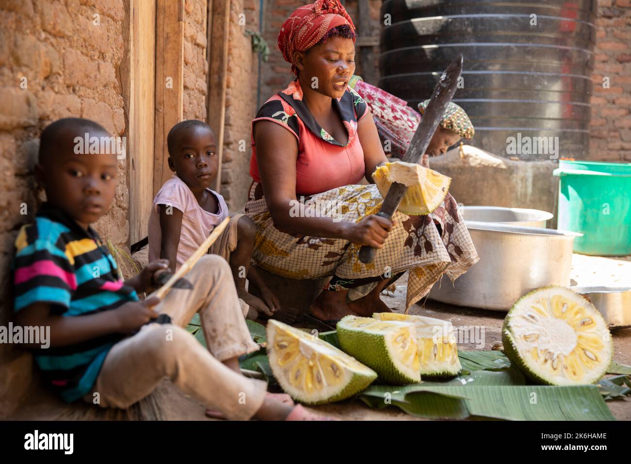 An African mother slices up a large jackfruit with a machete to serve ...