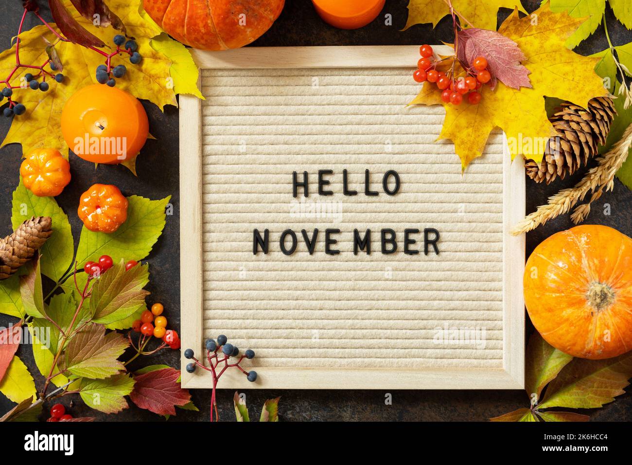 Autumn background with Hello November letters and autumn message board ...