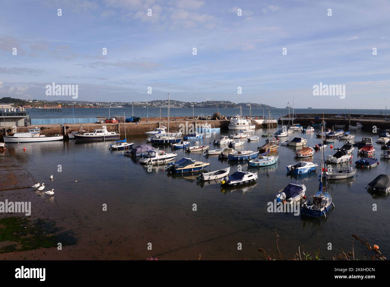 Harbour in Paignton Devon UK Stock Photo - Alamy