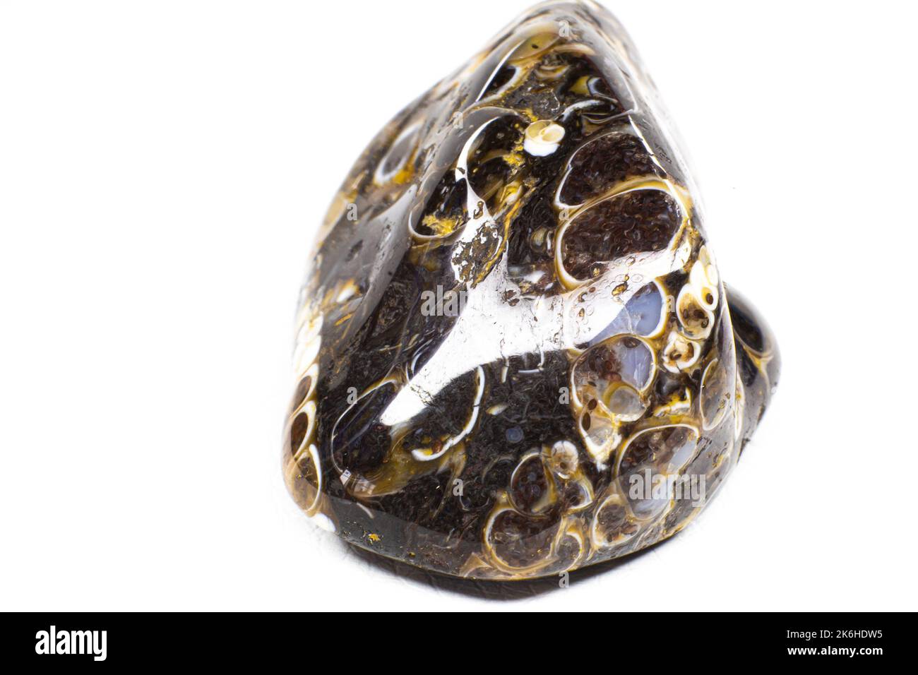 Real tumbled turitella agate stone macro isolated on white surface ...