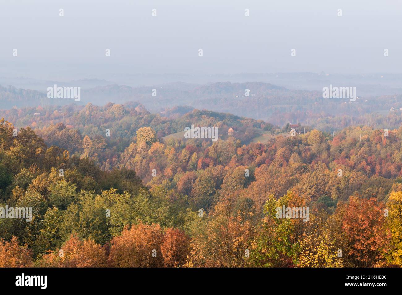 Hilly landscape lush forests hi-res stock photography and images - Alamy