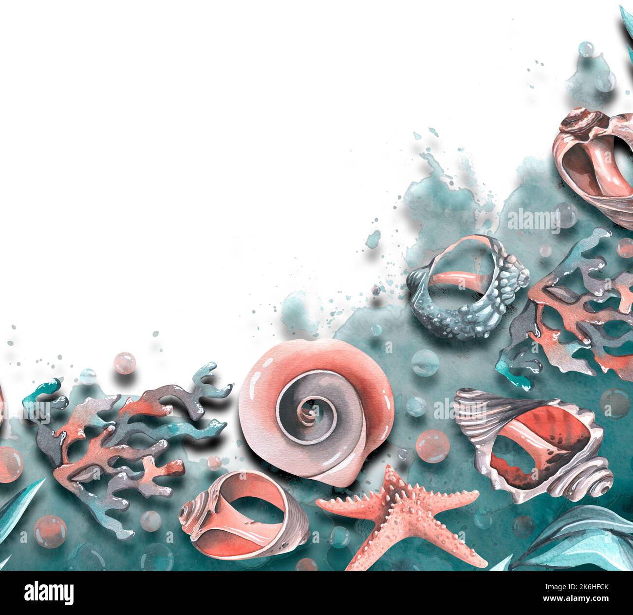 Template, white background with different broken shells and starfish in ...