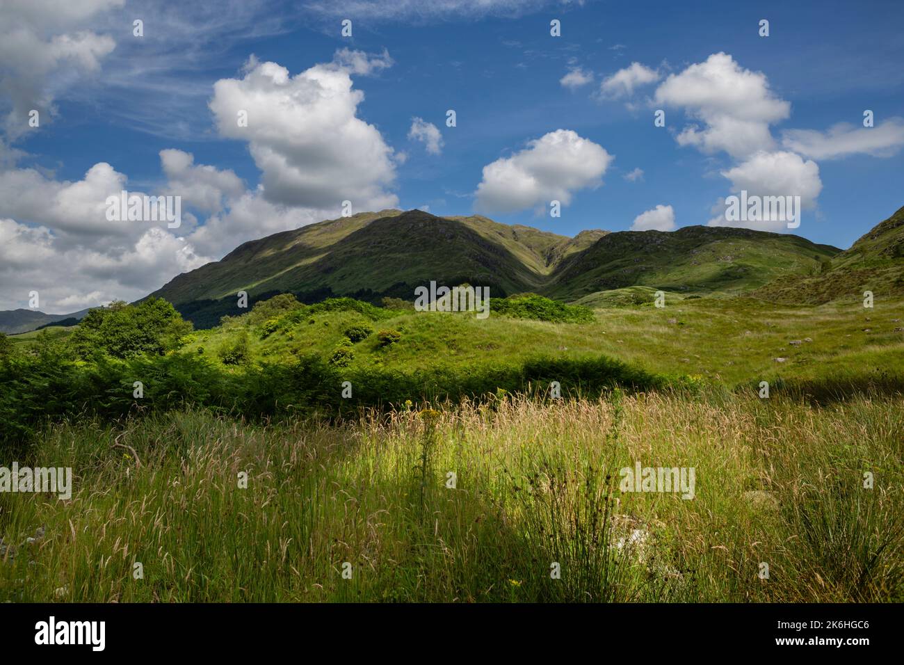 View of the green grassy fields and mountains of Glenfinnan in summer ...