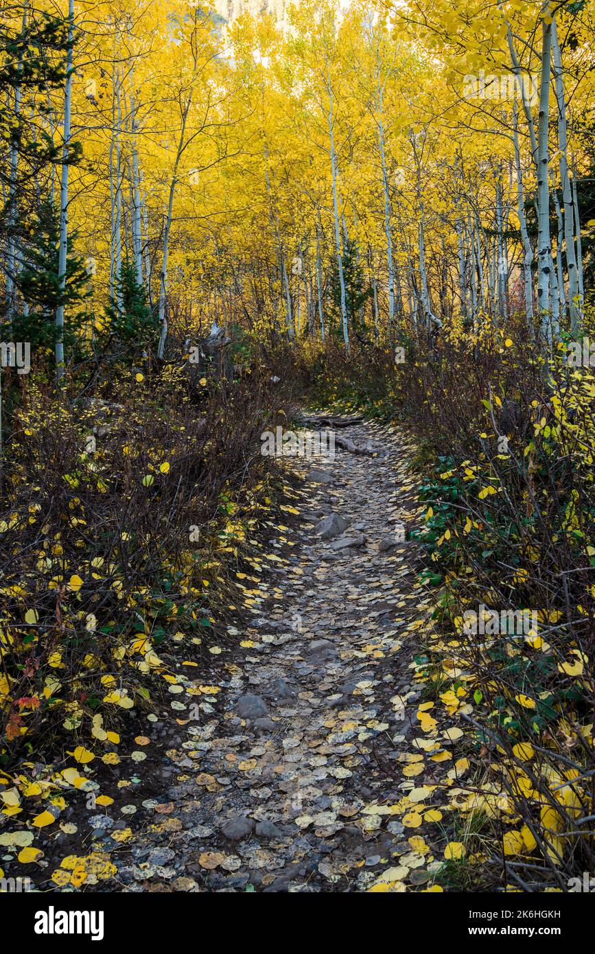 Magnificent autumn scenery near Sundance Ski Resort, Utah, USA. Viewed ...
