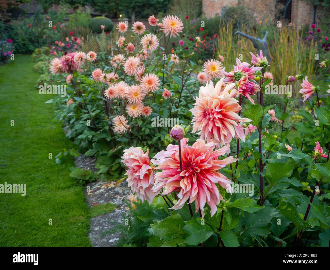 Chenies Manor Sunken garden lawn with salmon pink and soft peach Dahlia ...
