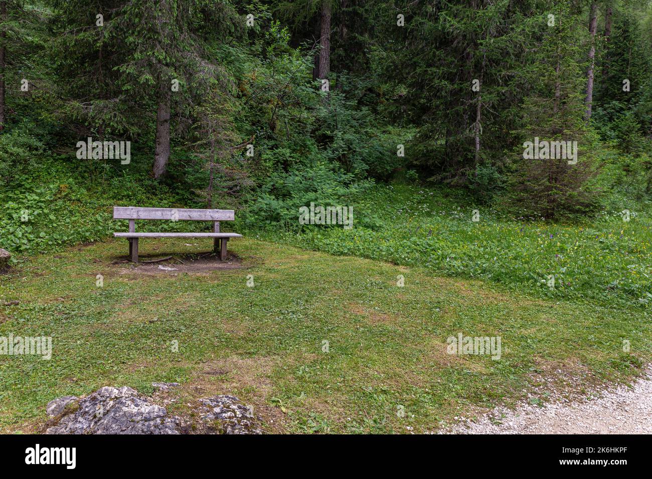 Wooden bench in the woods of the Italian Alps Stock Photo - Alamy