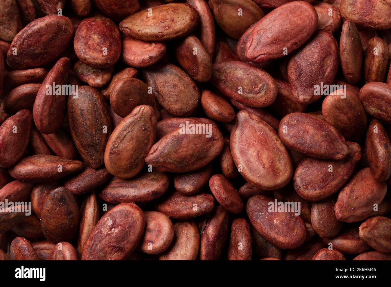 Dried watermelon seeds close up full frame as background Stock Photo ...