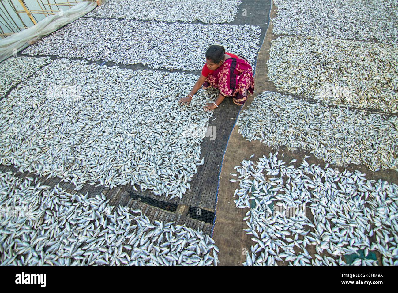 Woman drying fishes on hi-res stock photography and images - Alamy