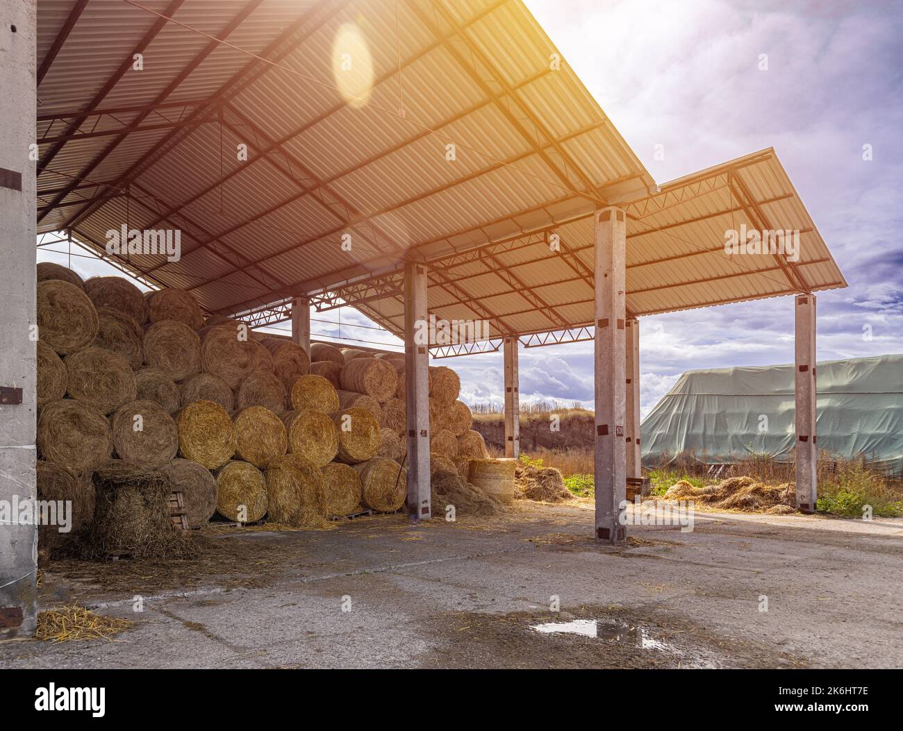Hay barn with stacked straw bales in a cattle farm. Farmyard storage ...
