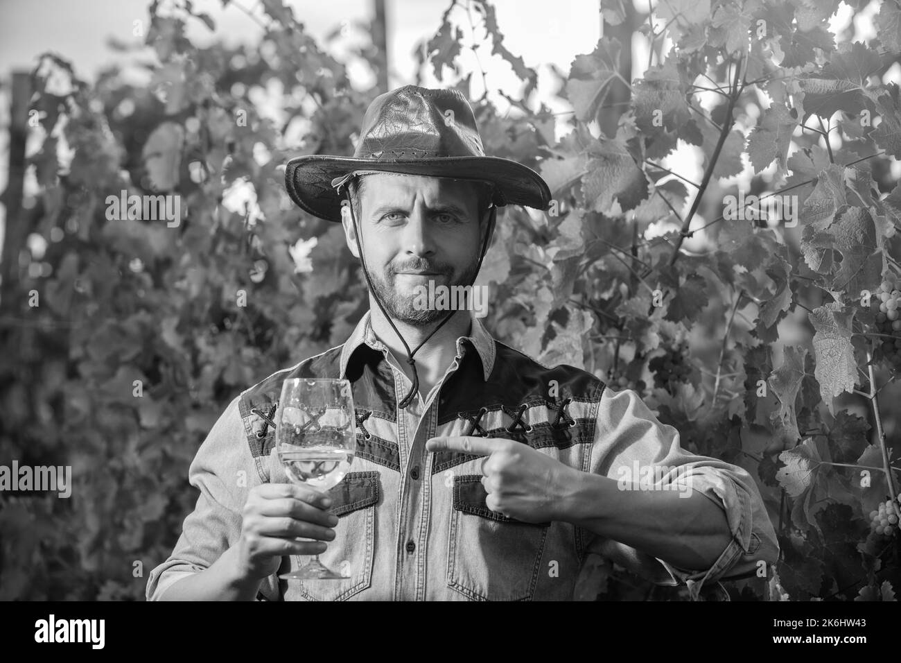 happy viticulturist man farmer point finger on wine at grape farm ...