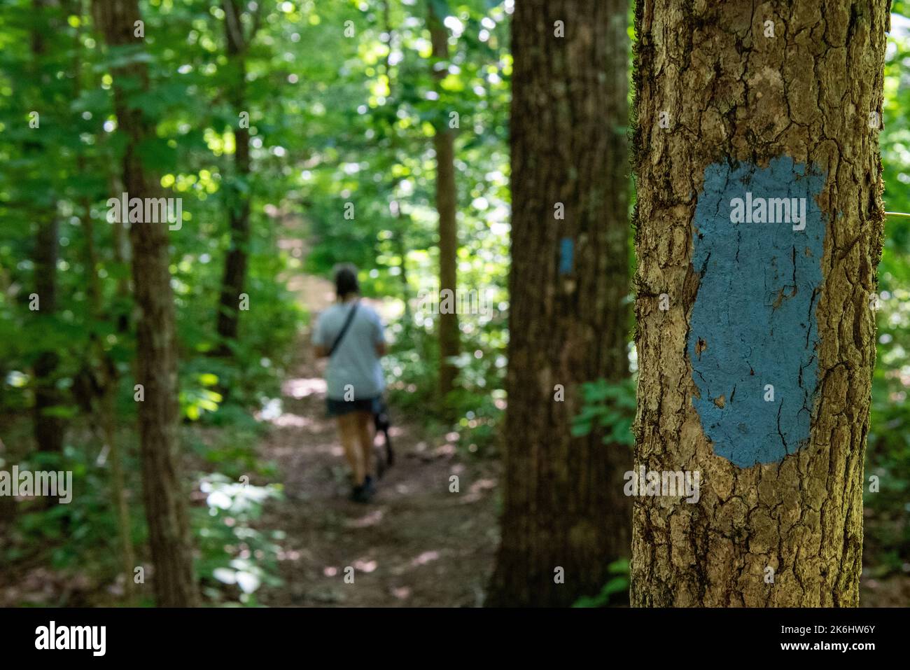 Trail blaze and hikers on trail Stock Photo - Alamy