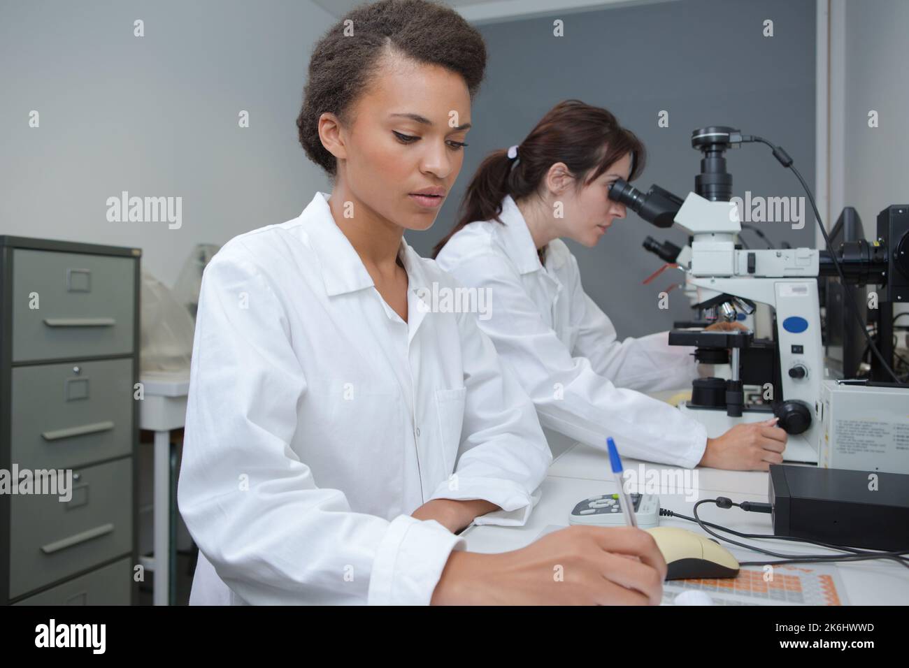 laboratory technicians busy at their work Stock Photo - Alamy