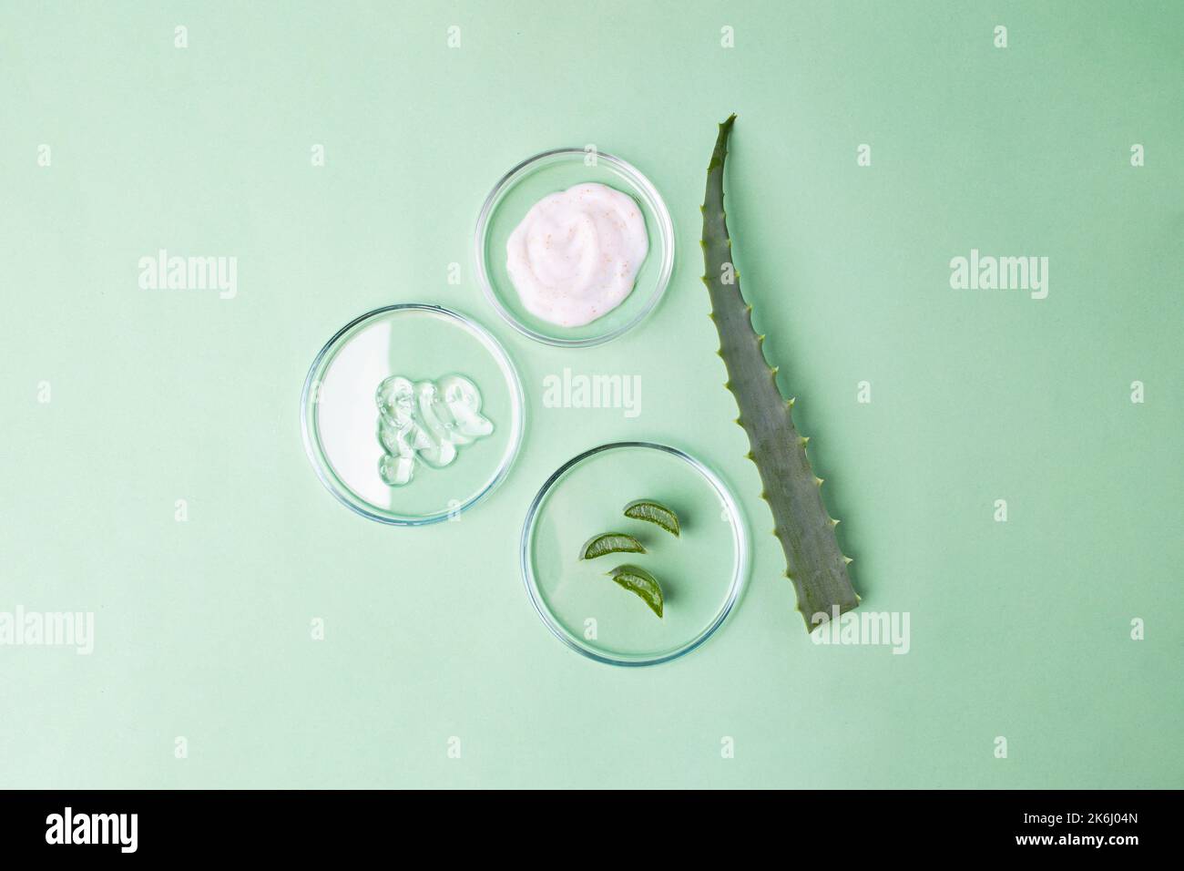 Photography from above of petri dishes with cosmetics gel in it and ...