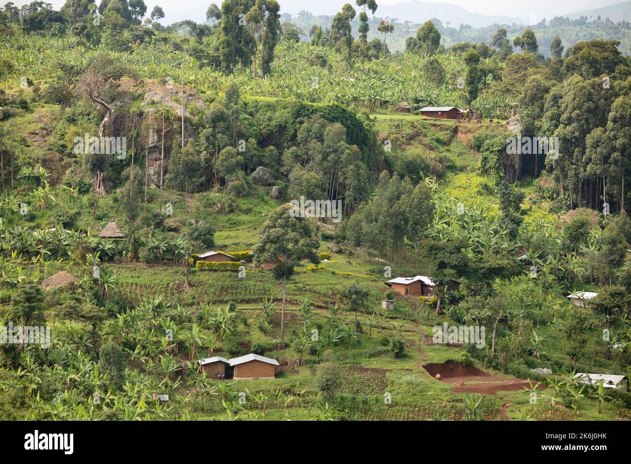 Beautiful villages and farmland on Mount Elgon in Easter Uganda, East ...