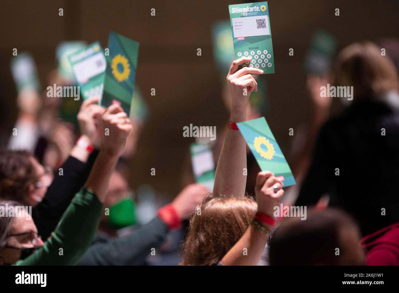 Voting with voting cards, general, feature, marginal motif, symbolic ... Voting with voting cards, general, feature, marginal motif, symbolic ...