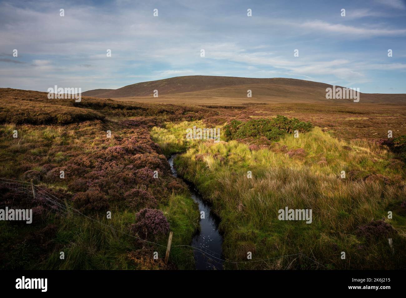 Expansive Irish peat landscape adorned in warm autumn colours Stock ...