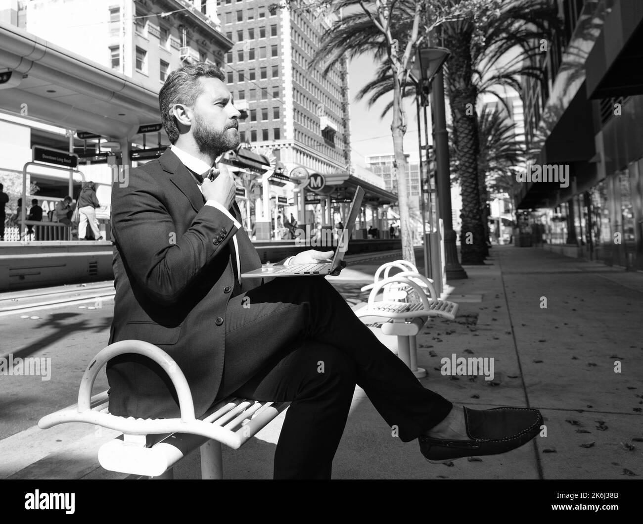 mature man businessman sit on bench in outdoor city working online on ...