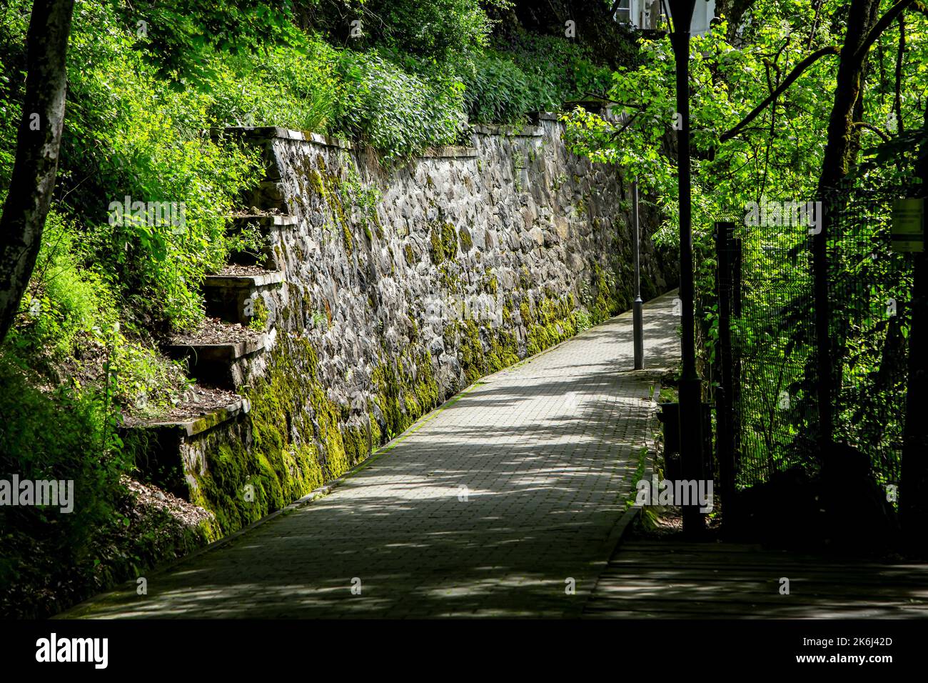 SOVATA, MURES, ROMANIA – MAY 29, 2021: Alley on the shore of Bear Lake ...