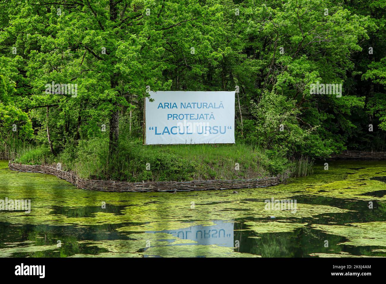 SOVATA, MURES, ROMANIA – MAY 29, 2021: Landscape with Bear Lake (Lacul ...