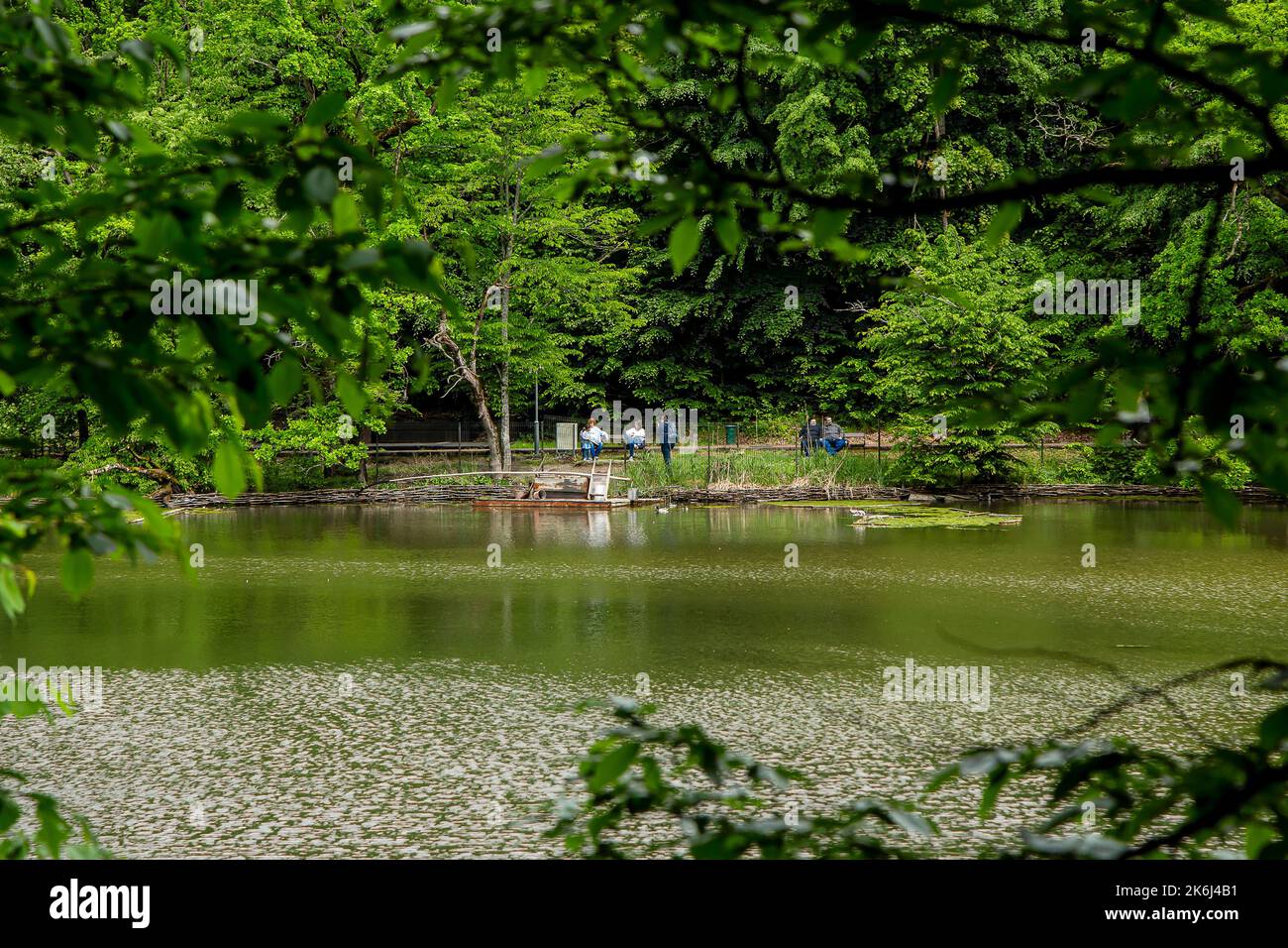 SOVATA, MURES, ROMANIA – MAY 29, 2021: Landscape with Bear Lake (Lacul ...