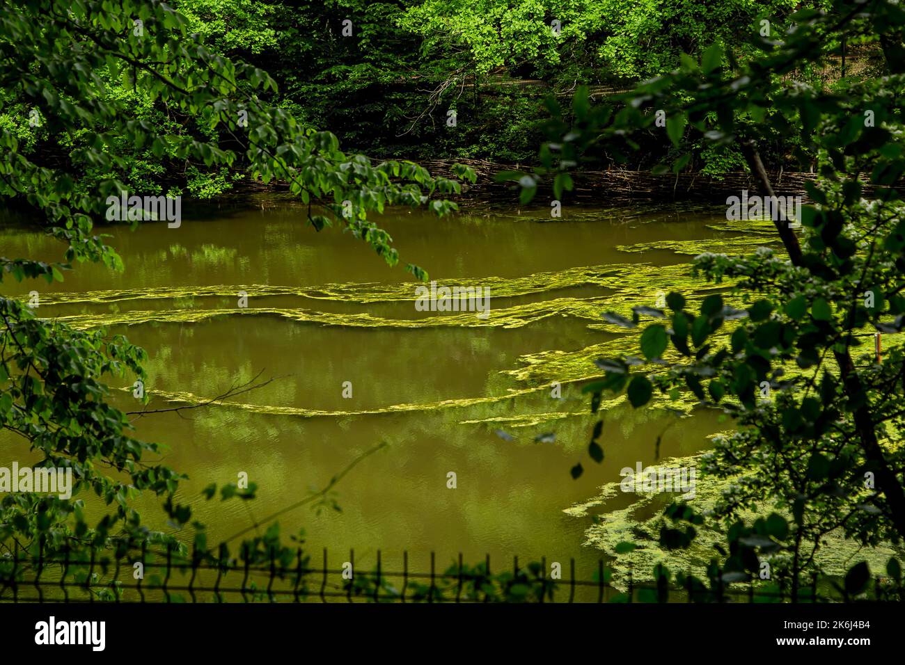 Sovata baths hi-res stock photography and images - Alamy