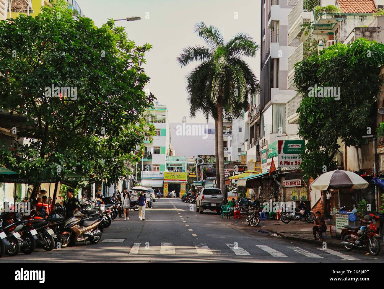 Vietnamese street photography, asphalt, palm trees and people walking ...