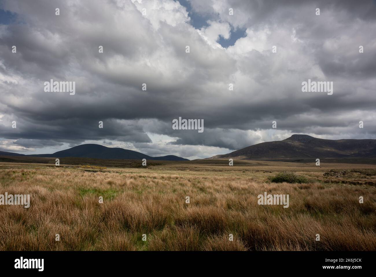Impressive landscape of the vast and remote peatlands at the edge of ...
