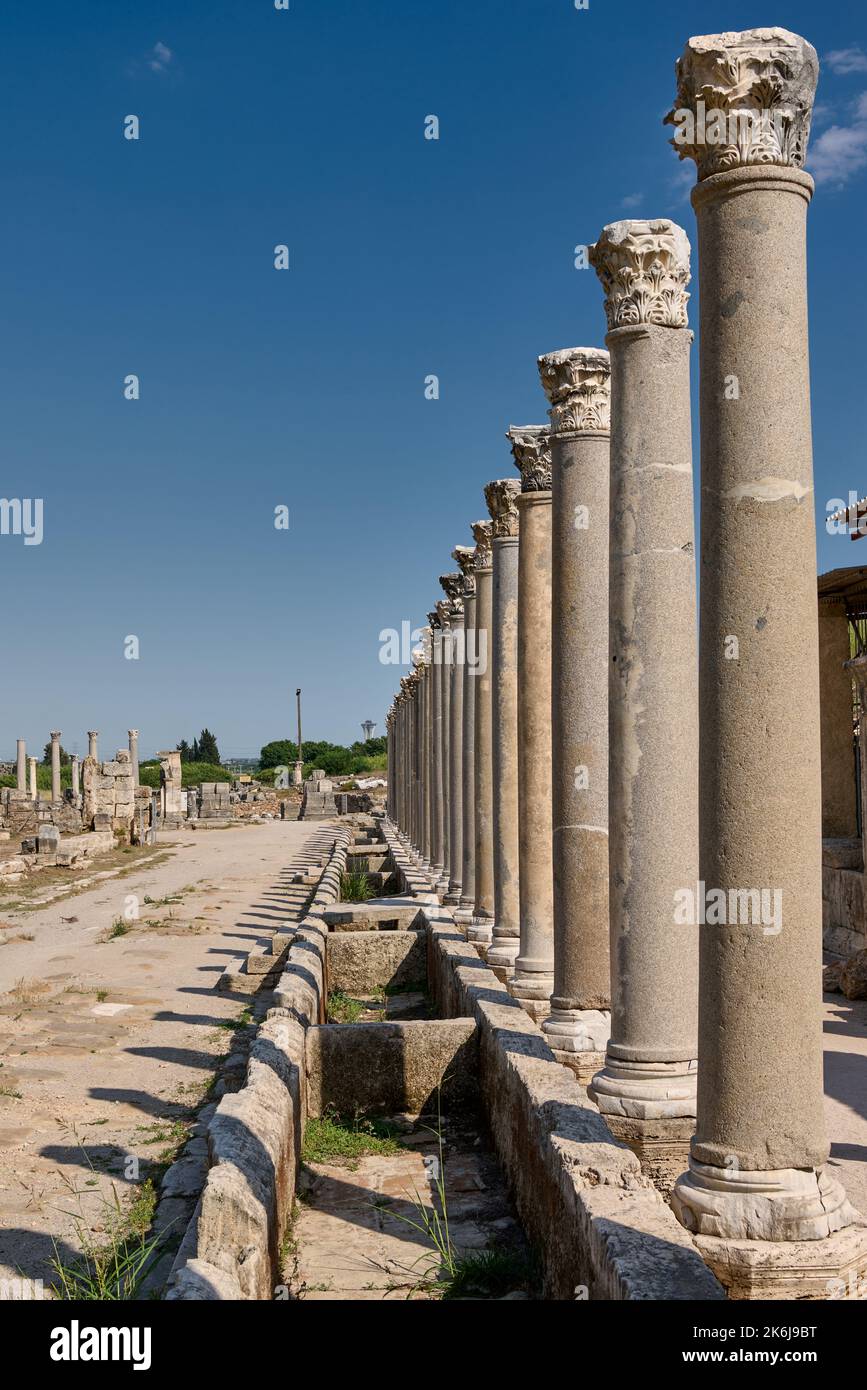 columns of western collonnaded street ruins of the Roman city of Perge ...