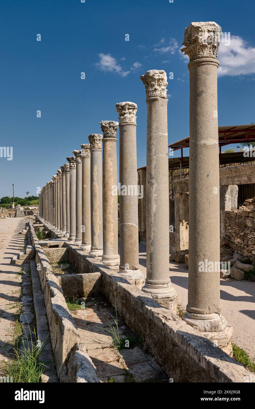 columns of western collonnaded street ruins of the Roman city of Perge ...