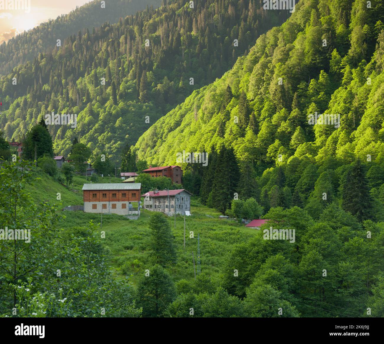 Ayder Plateau traditional houses and Black Sea nature. Camlihemsin ...
