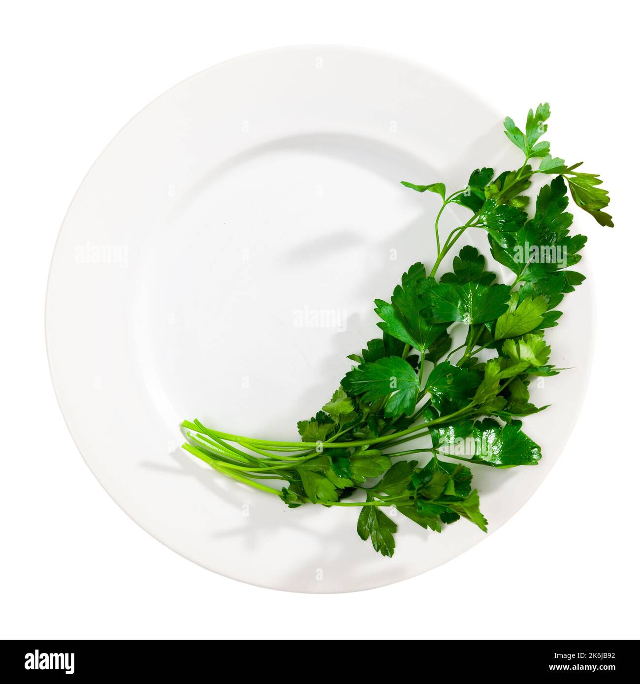 Parsley sprigs on white plate Stock Photo - Alamy