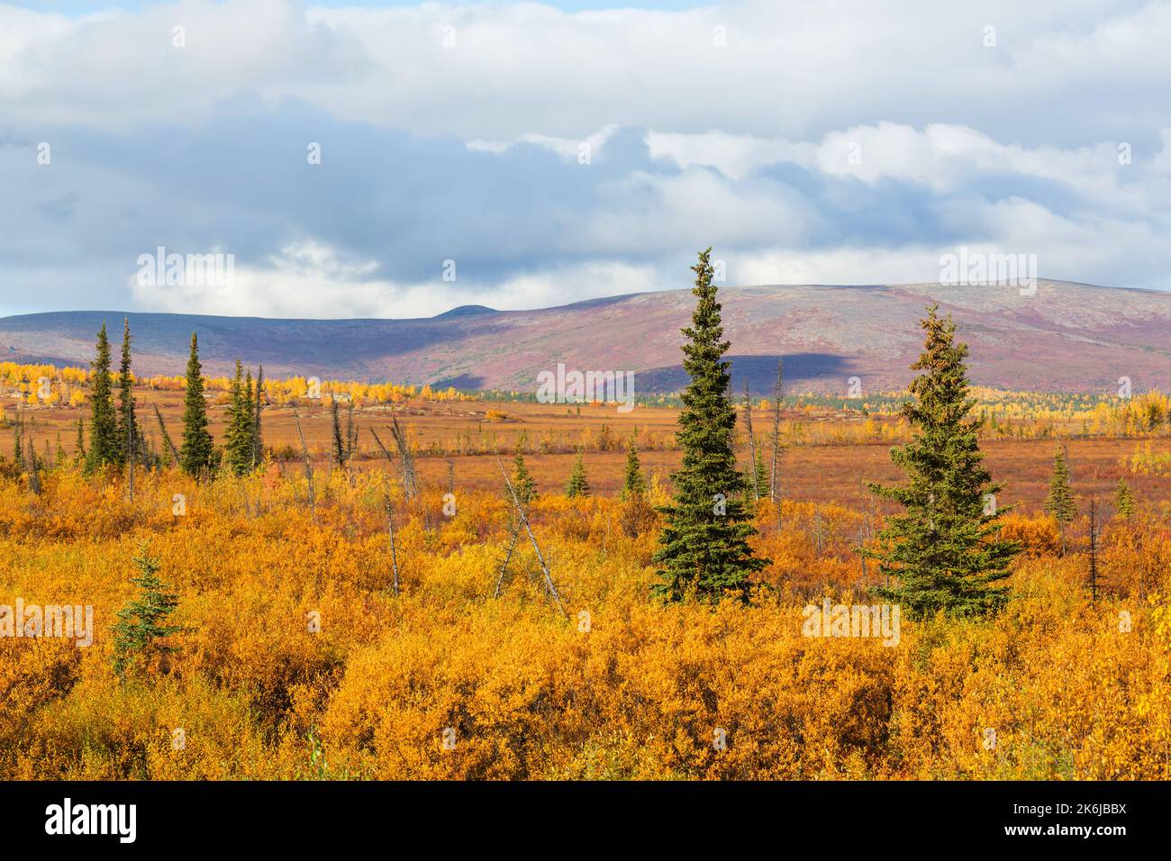 Tundra landscapes above Arctic circle in autumn season. Beautiful ...