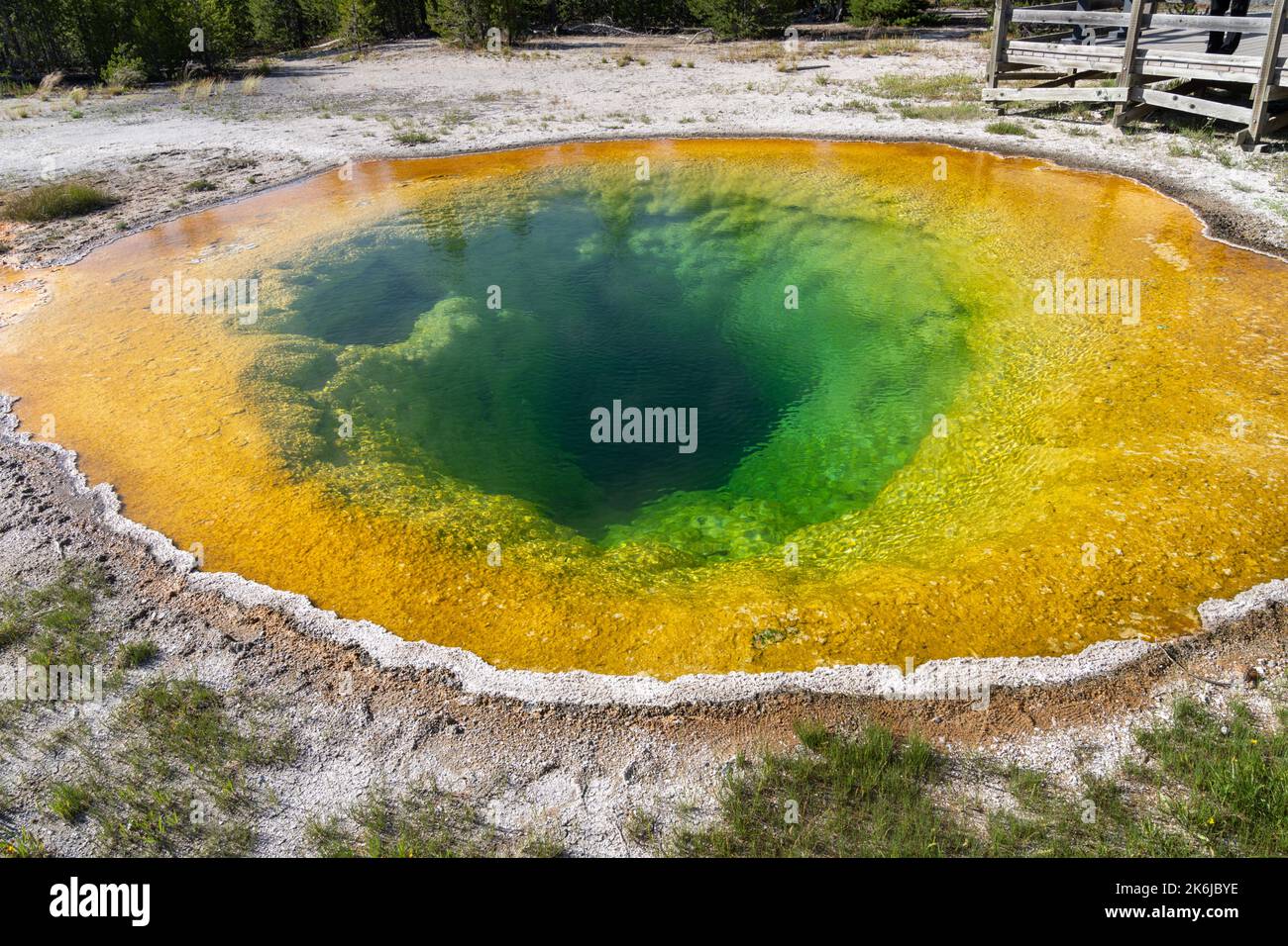 The colorful, famous Morning Glory pool hot spring in Yellowstone ...