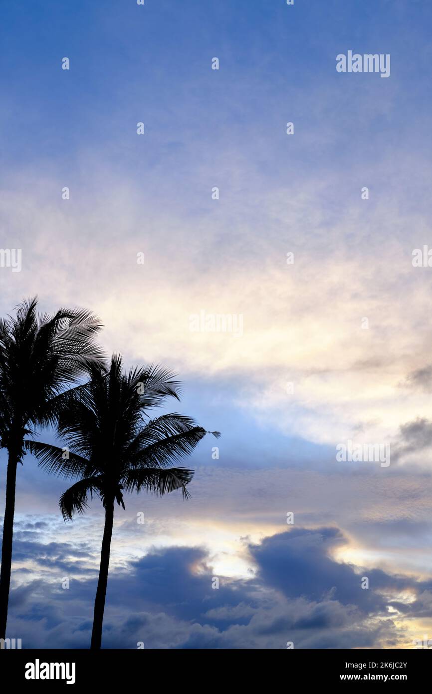 Coconut Tree Silhouette with Beautiful Dramatic Sunset Cloud Scape ...