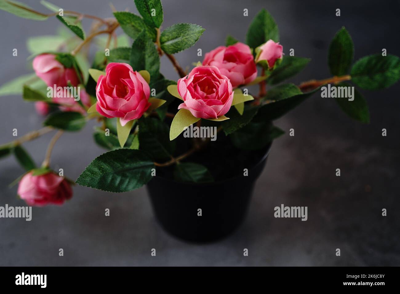 Fake flora hi-res stock photography and images - Alamy