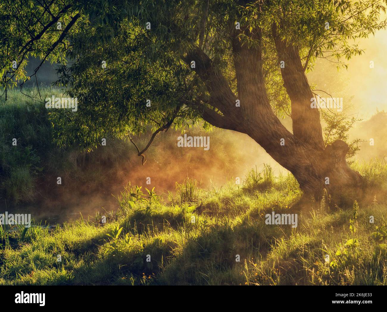 Beautiful spring sunrise over river banks. the sun's rays break through ...