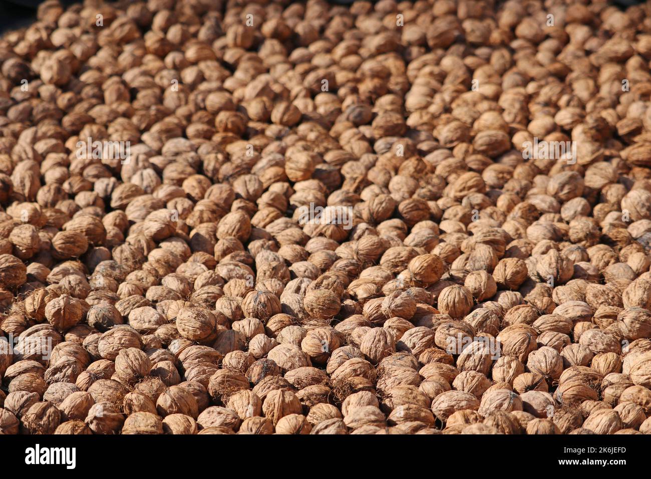 Walnut background lot walnuts hi-res stock photography and images - Alamy